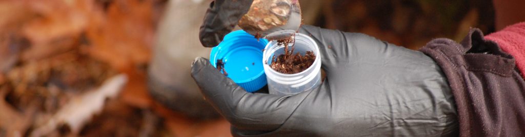 PCB Analysis - Environmental Pollution Laboratory