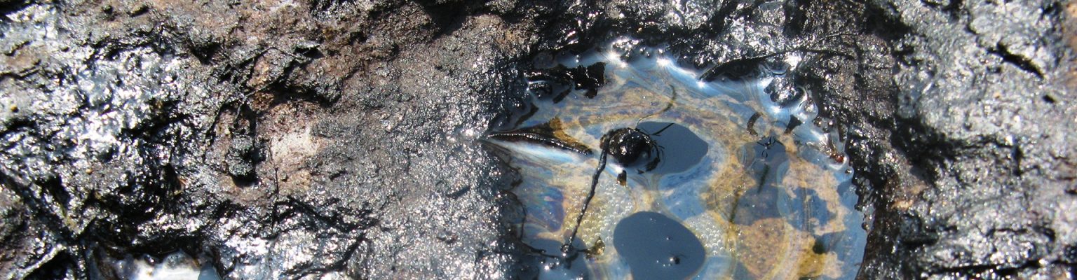 C10-C40 TPH Analysis - Environmental Pollution Laboratory